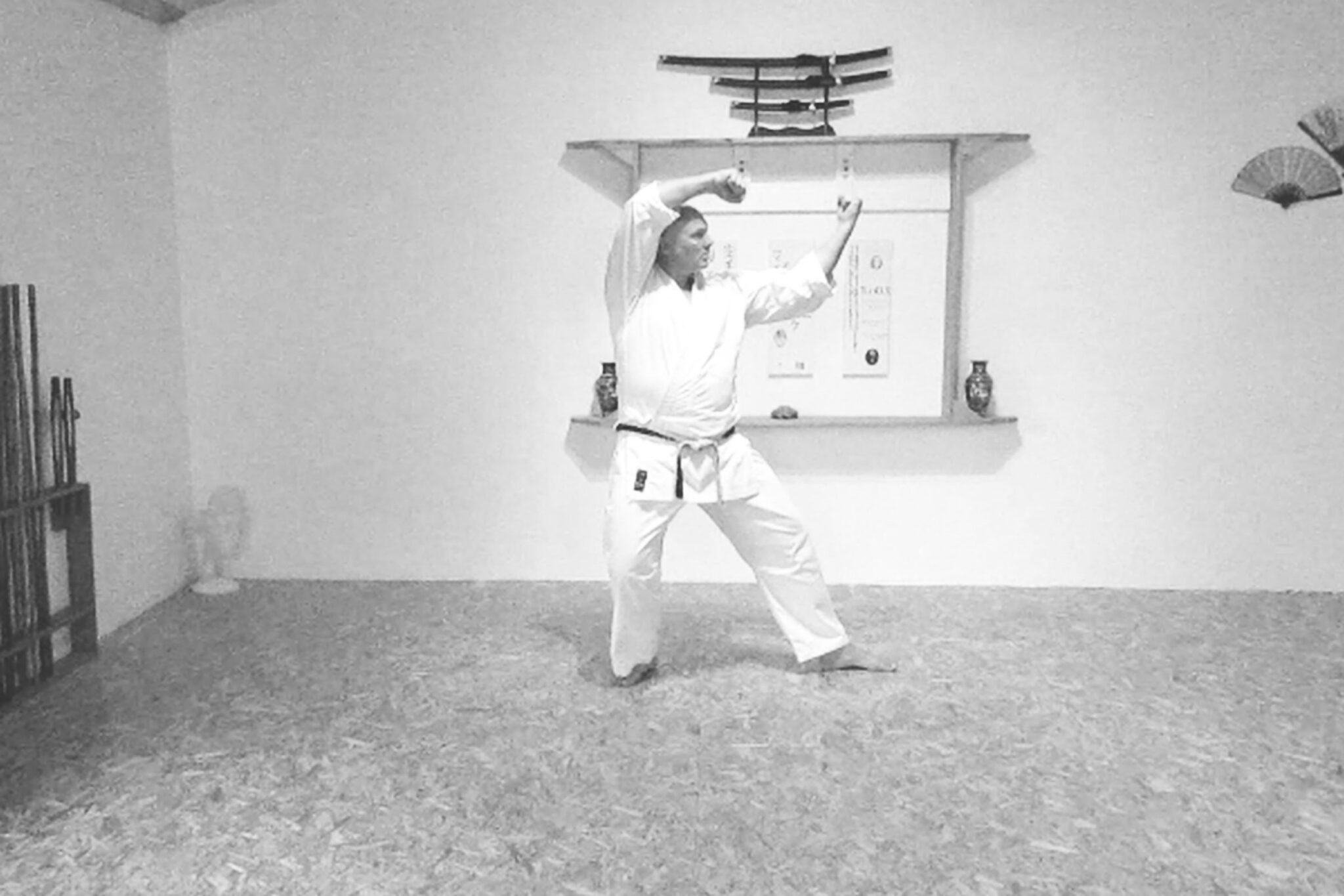 Pinan/Heian Kata - Jissen Karate