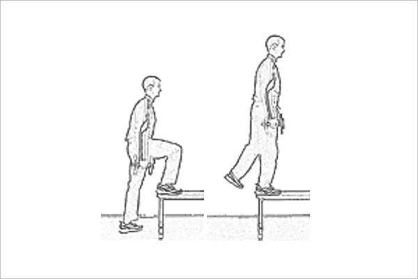 Top Dumbbell Leg exercises for martial artists - Jissen Karate